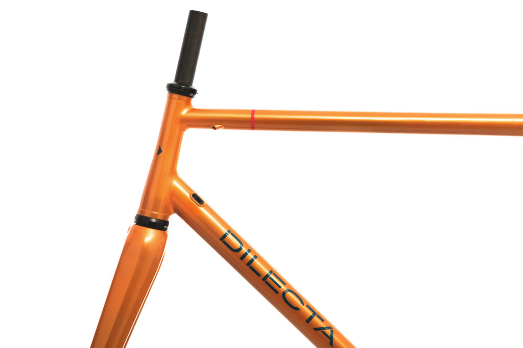 Le Blanc frameset (rim brakes) - DILECTA Cycles